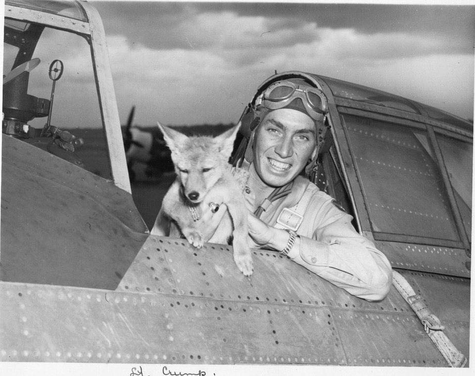 A Coyote Named ‘Jeep’ Flew Combat Missions Over Wartime Europe ...