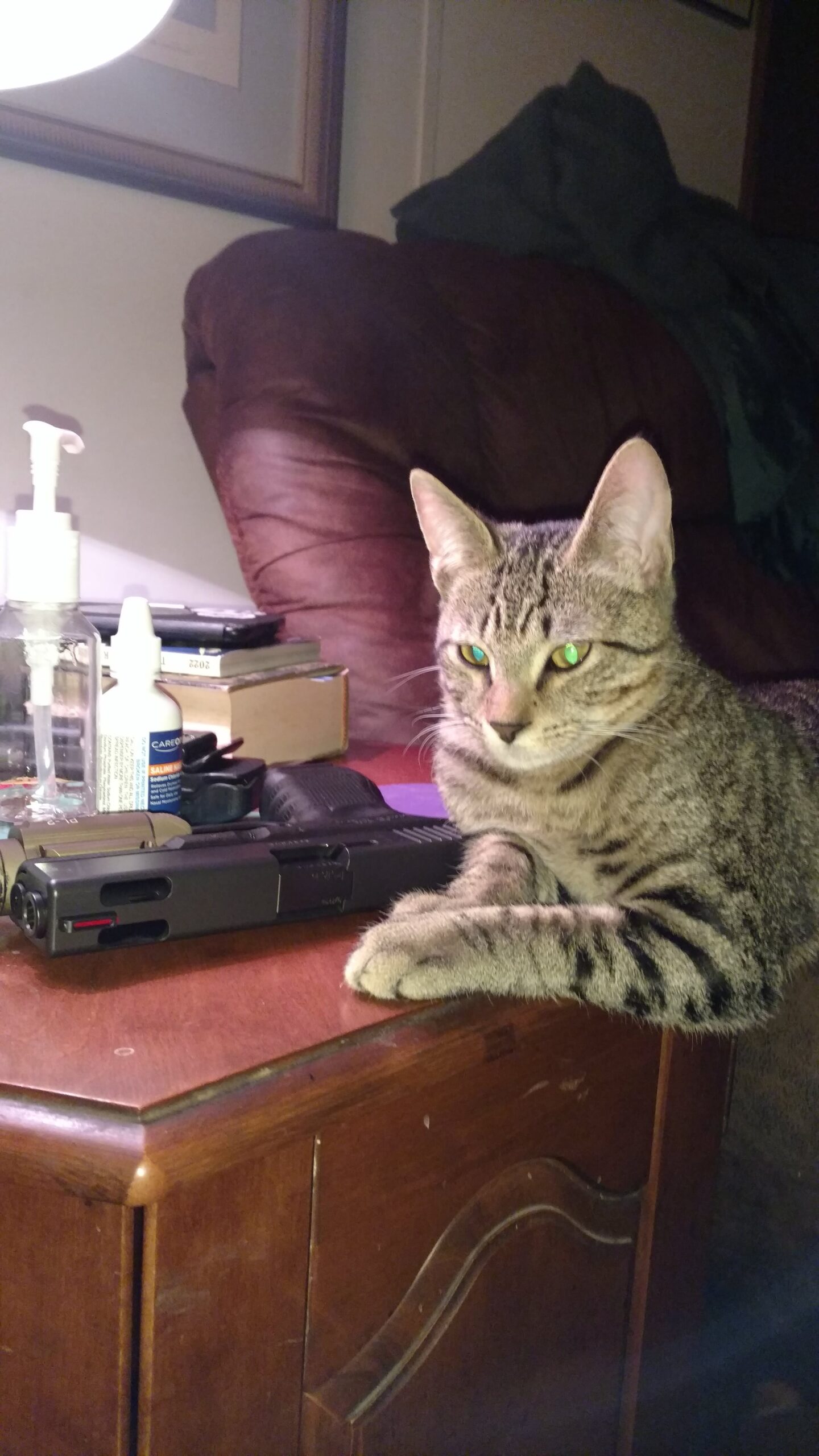 Springfield Armory MC Operator: A Five Year Update, Zero Regrets ...