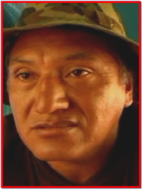 The ‘Shining Path’ Guerrilla Group Emerges Again in Peru – Soldier of ...