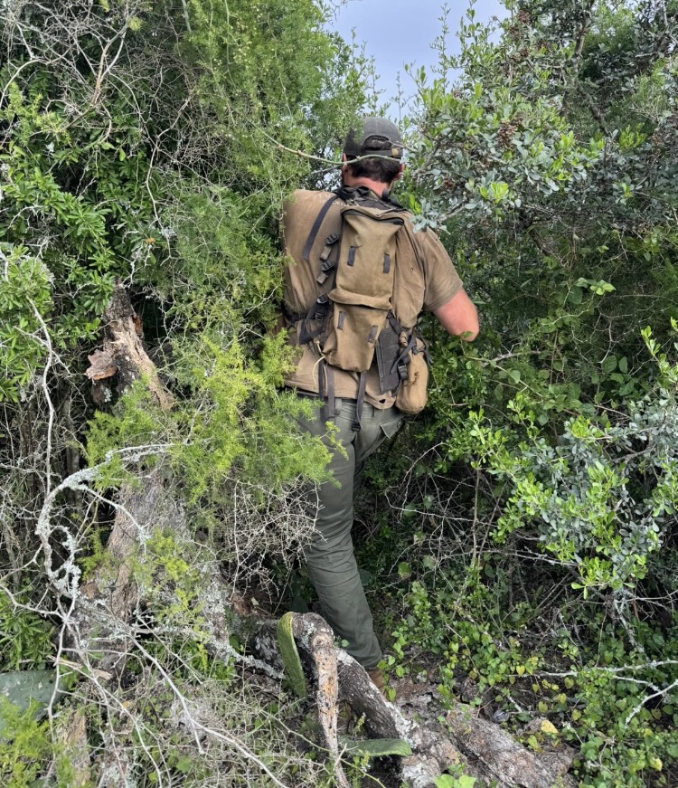An Angry Rhino, Three Rookie Trackers, and Trouble in Africa: ‘She ...