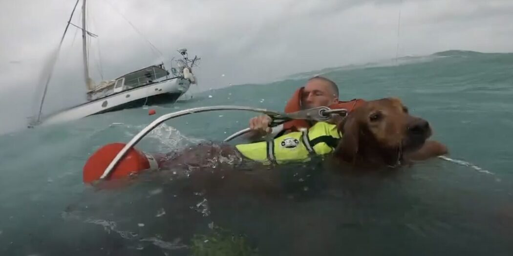 Rescue at Sea: Coast Guard Saves a Man and His Dog Who Were Trapped ...