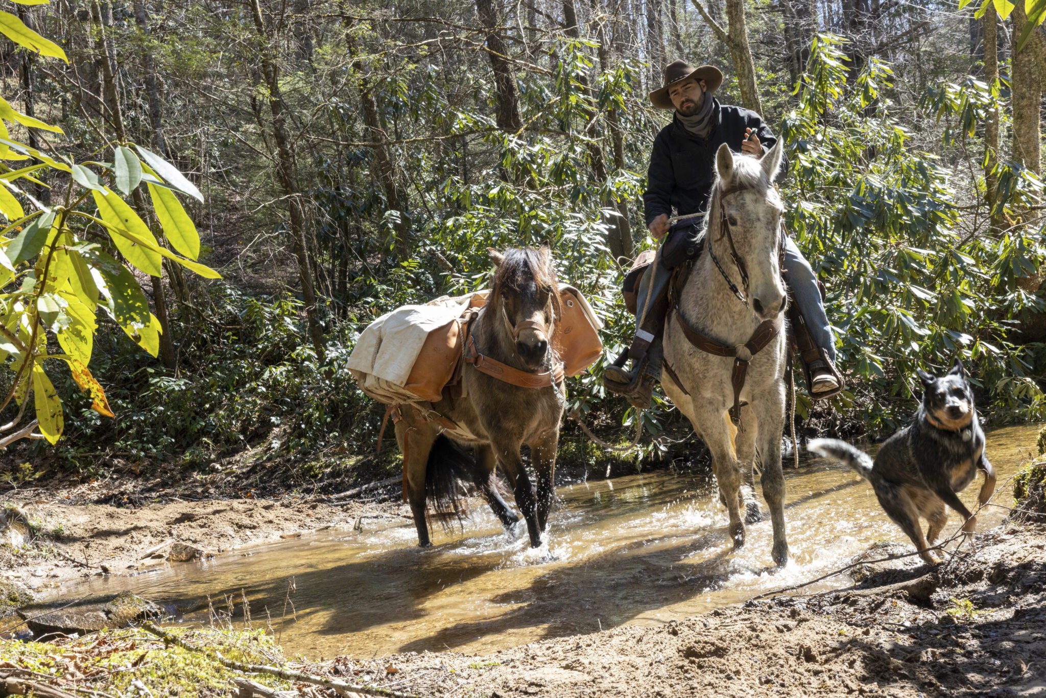 The Barely Told Story of America’s Greatest Half-Assed Heroes – Soldier ...