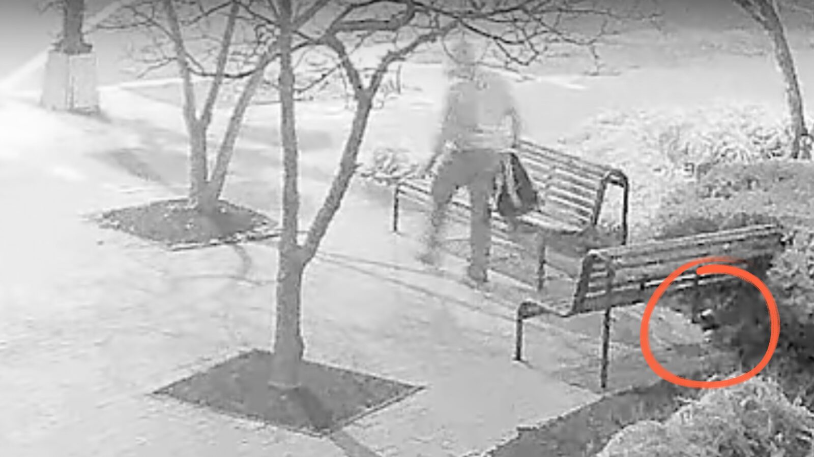 Brian Cole Arrested for Jan 6 Pipe Bombs – Were These Devices Created ...